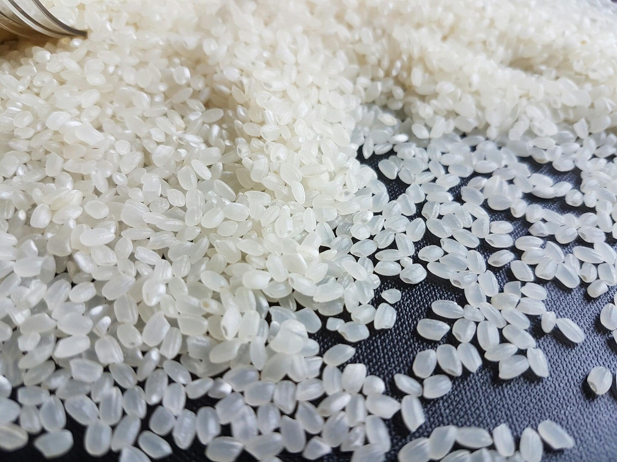 Japanese Koshihikari Rice – Rice Delivery PH